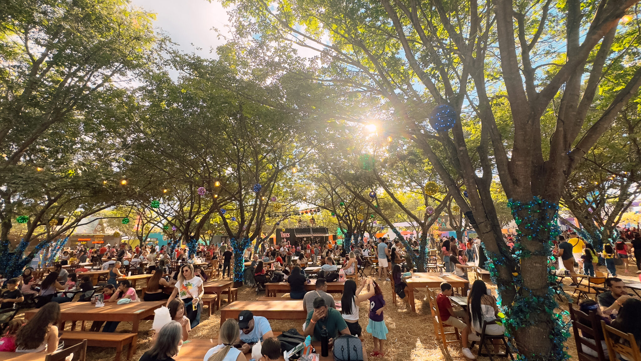 Funn Festival se despede com programação para a família